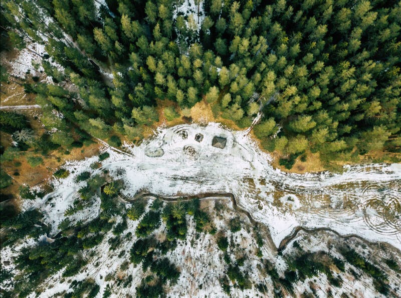 Aerial Photography of a Forest in Winter, Top Down View Stock Image ...