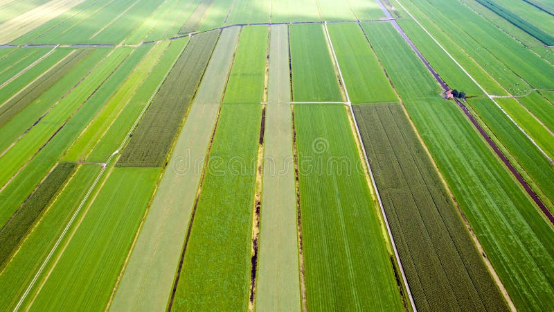 Aerial Photo of Patchwork Fields in Oudewater, Netherlands Stock Photo ...