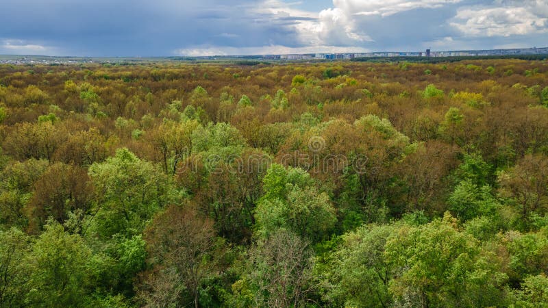 Aerial Photography of Rural Nature Stock Photo - Image of green, color ...