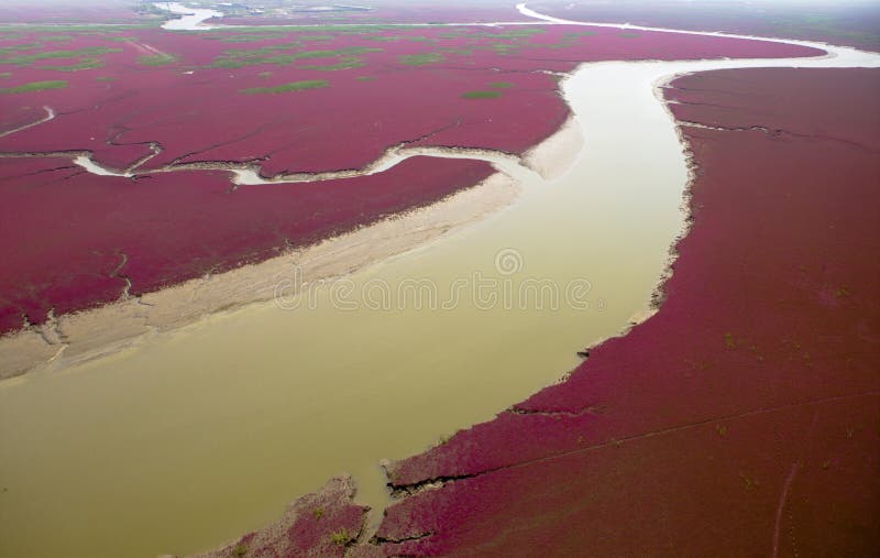 Aerial red beach stock photo. Image of vegetation, nature - 34969416