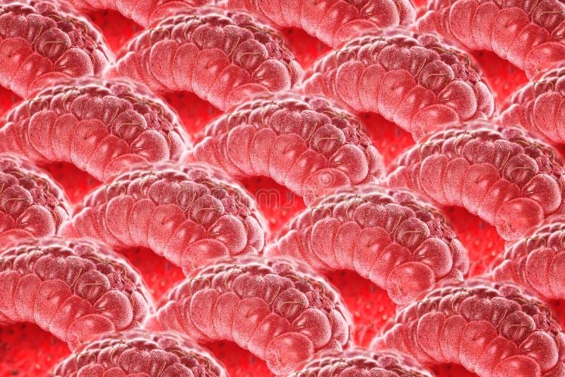 Aerial Red Raspberries and Dark Blue Blueberries on a Light Substrate ...