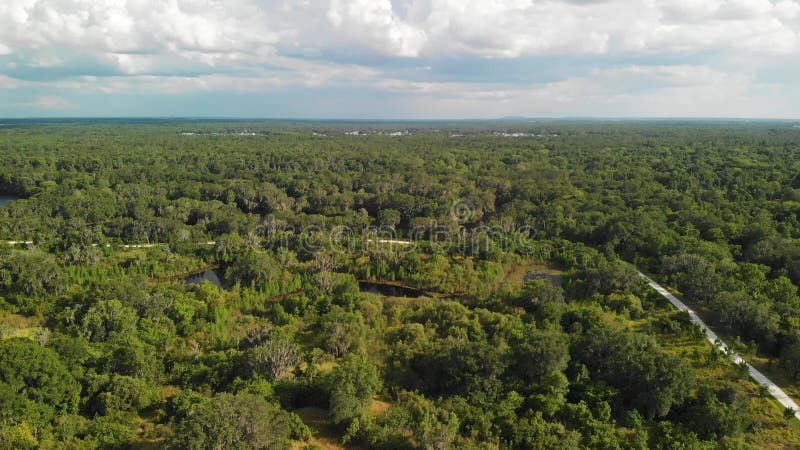 Aerial of Rural Florida with Wetlands and Woods Stock Footage - Video ...