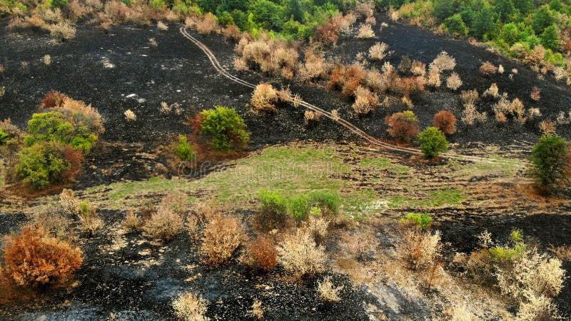 Aerial. Scorched Earth Landscape after a Fire. Stock Image - Image of ...