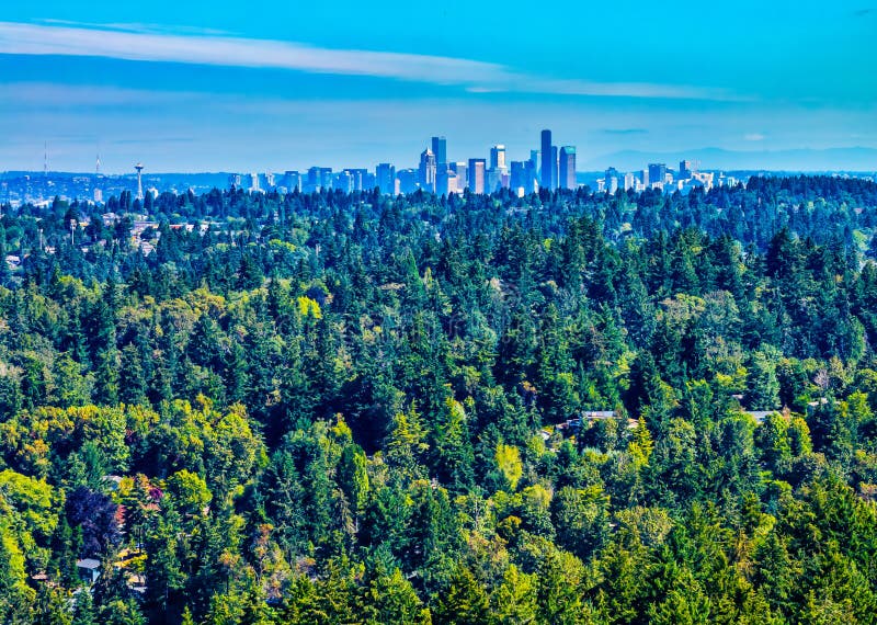 Aerial Seattle Skyline stock image. Image of landscape - 329646681