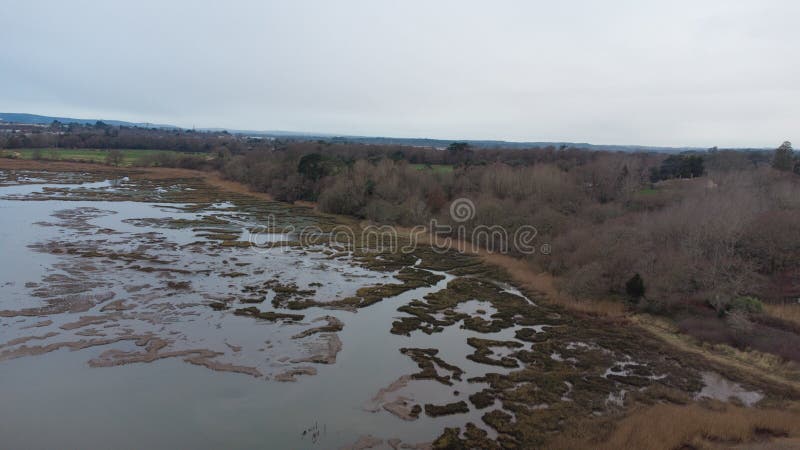 Aerial Shot of Bare Trees Near a Swamp Stock Image - Image of season ...