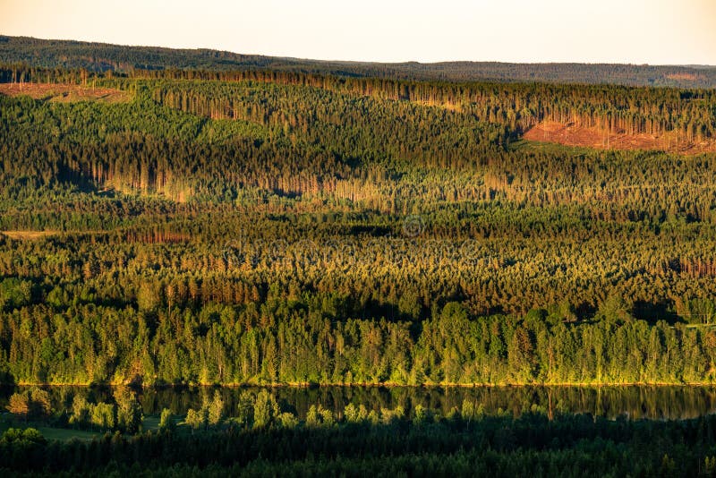 Aerial Shot of a Big Forest Landscape on a Reflective Water Surface ...