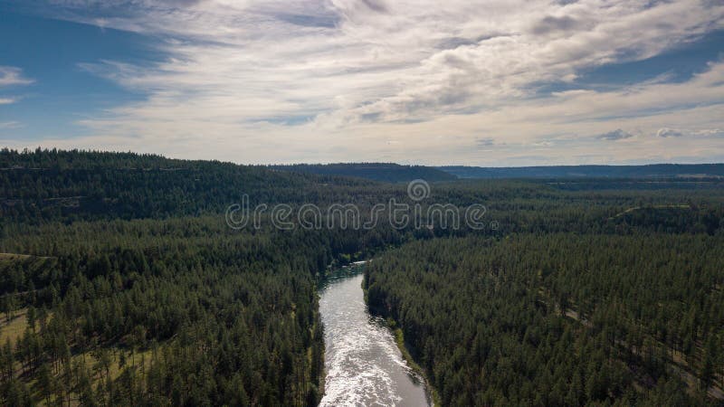 Aerial Shot of a Big River Flowing through a Beautiful Dense Forest ...