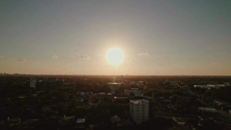 Aerial Shot of the Bright Sun Above Miami, Florida. Stock Footage ...