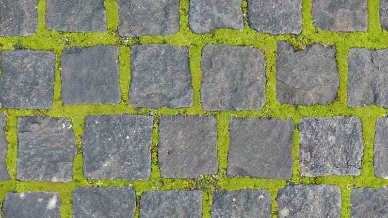 Aerial Shot of Cobblestone in the Lawn Stock Photo - Image of park ...