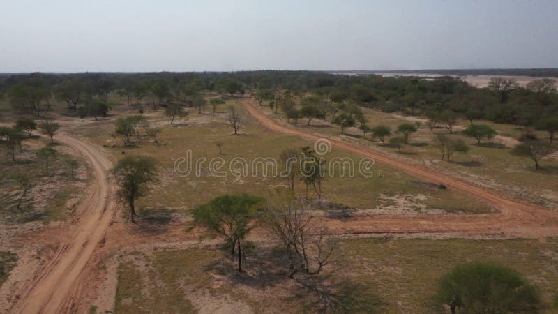 Aerial Shot of Dirt Road Diverging in Three Directions Stock Photo ...