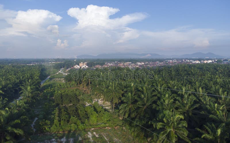 Aerial Shot of Early Morning Sky at Suburb Stock Image - Image of line ...