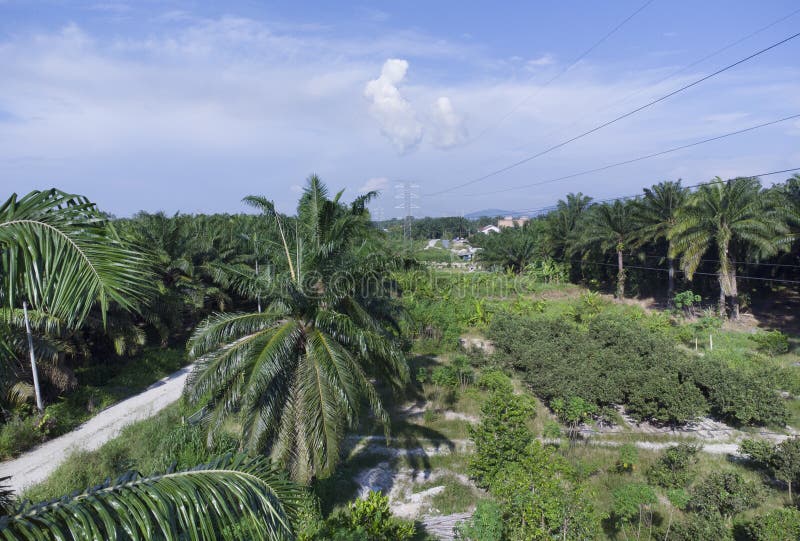 Aerial Shot of Early Morning Sky at Suburb Stock Image - Image of high ...