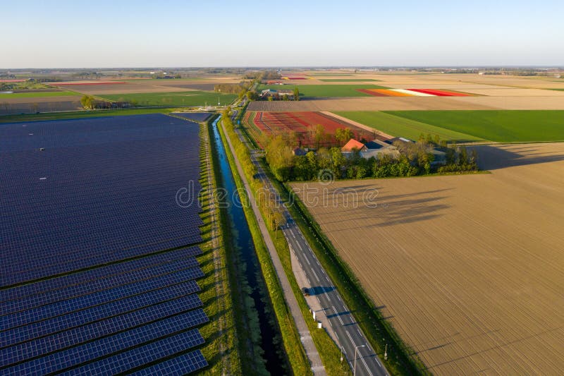 A Field of Solar Panels Gleaming in the Sunlight Surrounded by Green ...