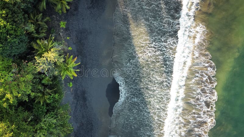 Aerial Shot of a Foamy Beach Wave Touching the Coastline with Trees ...