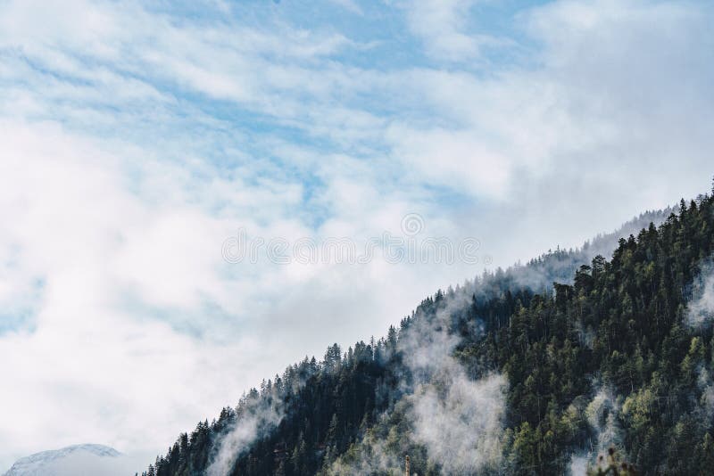 Aerial Shot of a Forest on a High Hill with Clouds and Blue Sky Stock ...