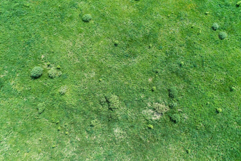 Aerial Shot of a Green Landscape with Dense Vegetation Stock Image ...