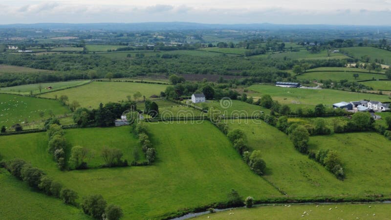 Aerial Shot of a Green Meadow and Trees Stock Image - Image of field ...