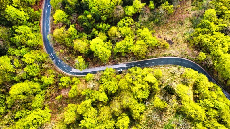 Aerial Shot of a Highway in the Middle of the Forest Stock Image ...