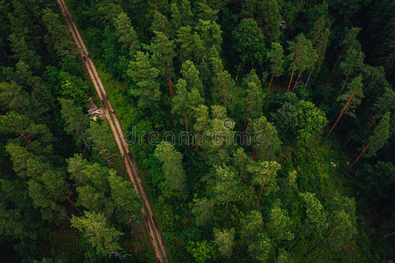 Aerial Shot of a Long Road Surrounded by Trees and Greens Stock Image ...