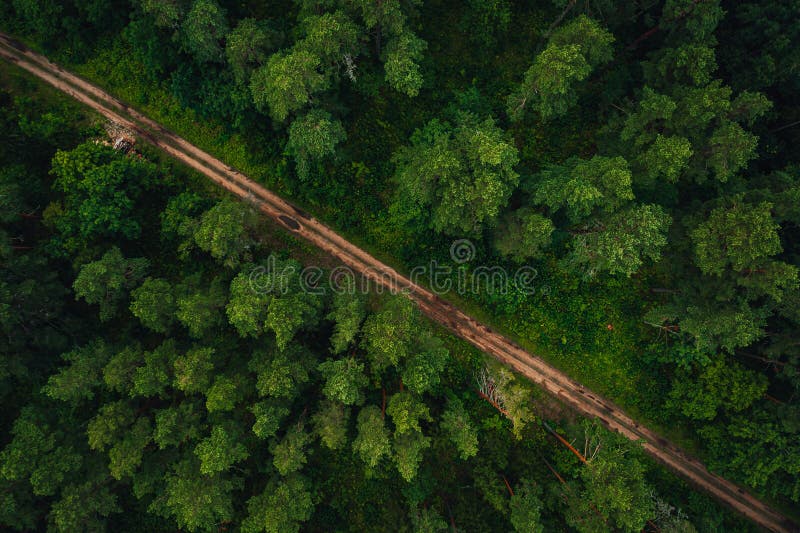 Aerial Shot of a Long Road Surrounded by Trees and Greens Stock Photo ...