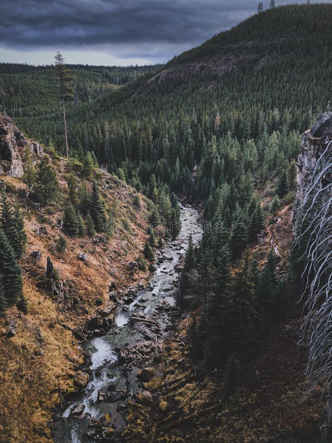 Aerial Shot of a Mountain Landscape with a Dense Forest and a River ...