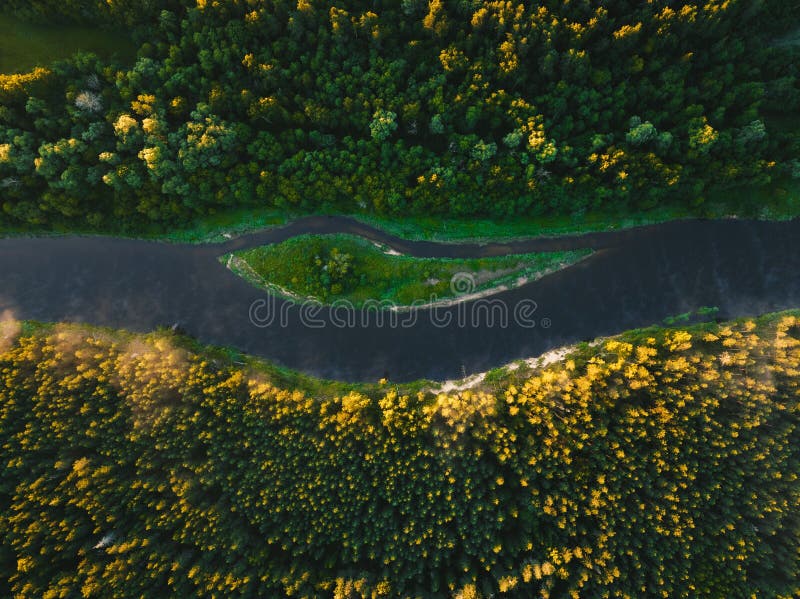 Aerial Shot of a River with a Tiny Island in the Middle of a Forest ...