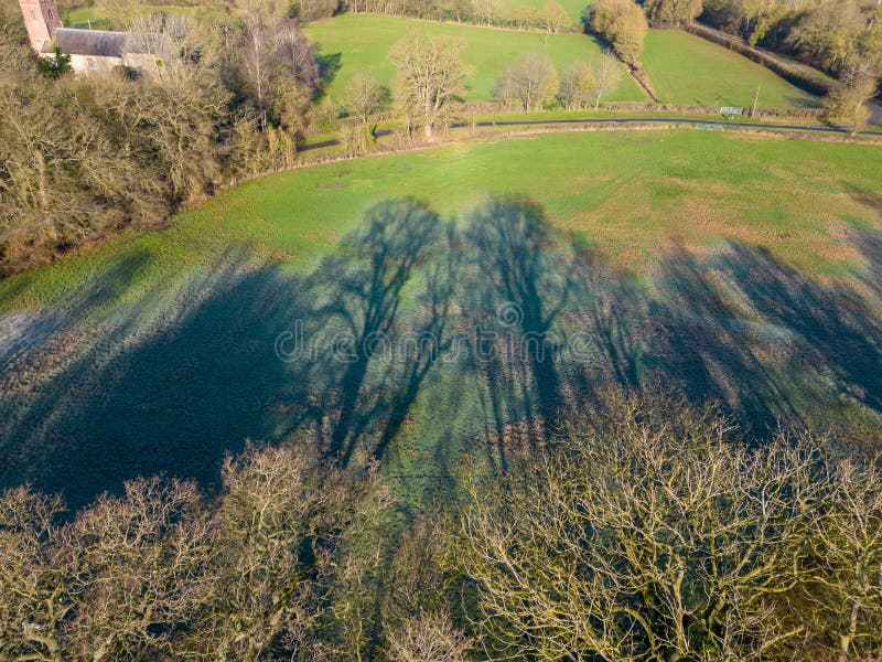 Aerial Shot of the Shadow of the Trees Reflecting on the Grass in a ...