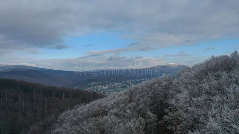 Aerial Shot of White Trees with Mountains in the Background Stock Image ...