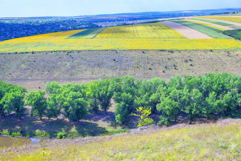 Aerial spring view stock photo. Image of plant, background - 135113380