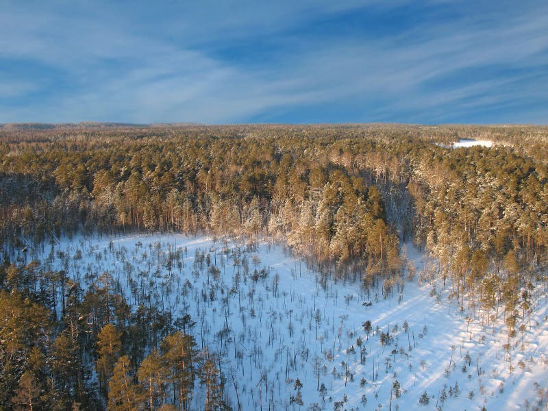 Aerial taiga 5 sky stock image. Image of high, forest - 4644477