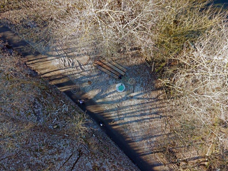 Aerial Top Down of Bare Trees in Forest on a Sunny Spring Day in Berlin ...