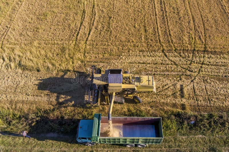 Aerial Top Down Rice Grains Being Poured Container Stock Photos - Free ...