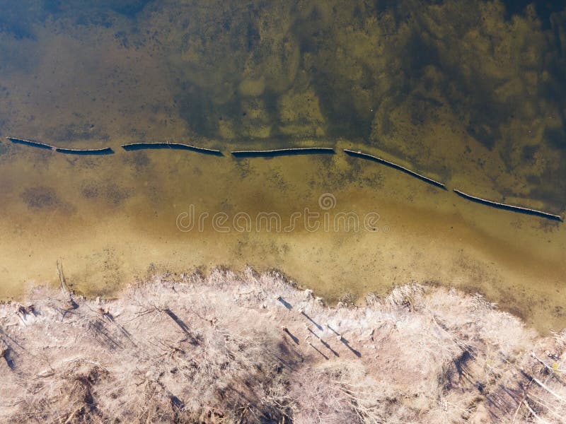 Aerial Top Down of River Near Forest on a Sunny Spring Day in Berlin ...