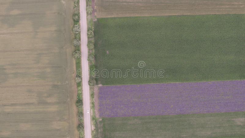 Aerial Top Down Shot of Fields with Various Types of Agriculture ...
