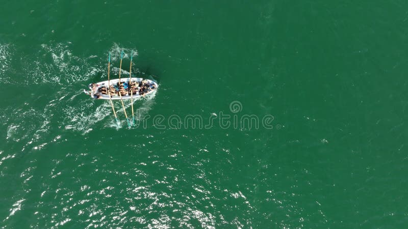 Aerial View of Boat Team Rowing Stock Footage - Video of vacation ...