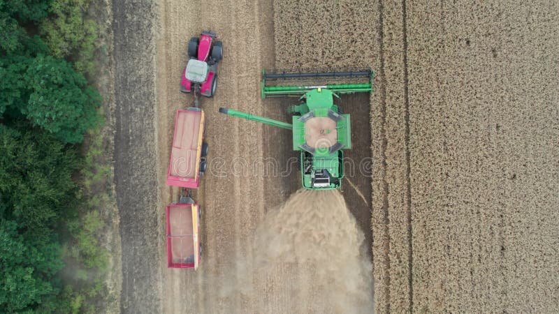Aerial Top Down View, Combine Harvesting and Unloading Wheat Grains ...