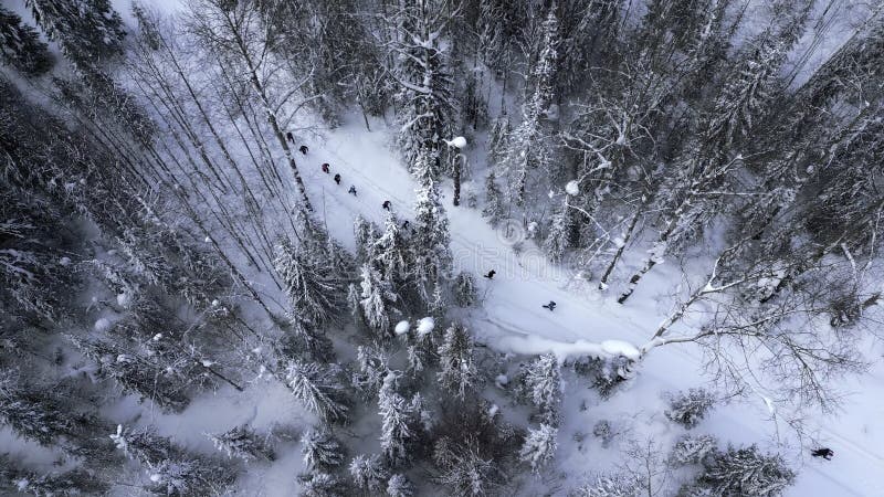 Aerial Top Down View of Group of Hikers Following One by One the Snow ...