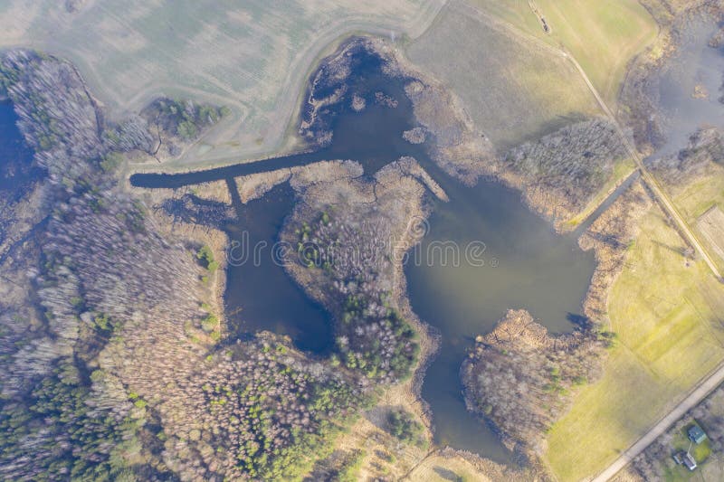 Aerial Top Down View of Lake between Forest and Fields Stock Image ...