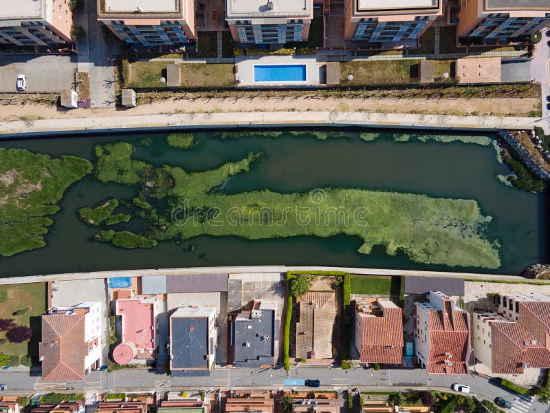 Aerial Top Down View of River Filled with Algae Bloom in Palamos ...
