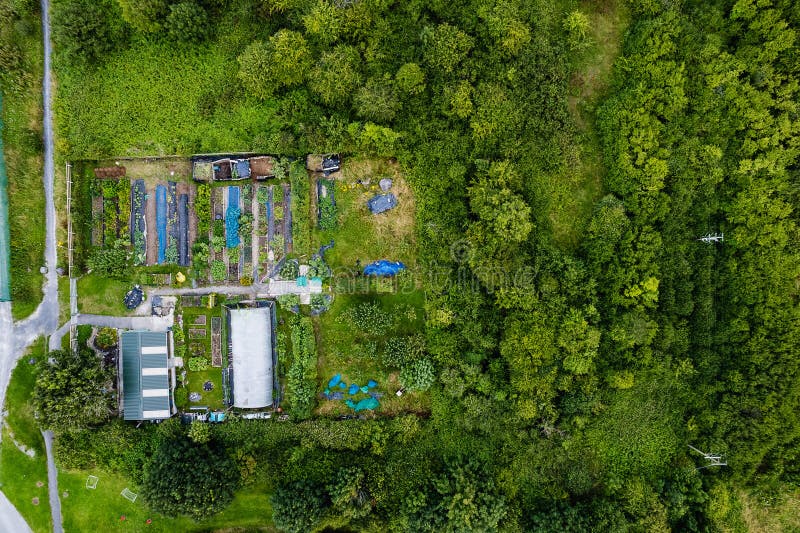 Aerial Top Down View on a Small Garden Surrounded by Green Wild Trees ...