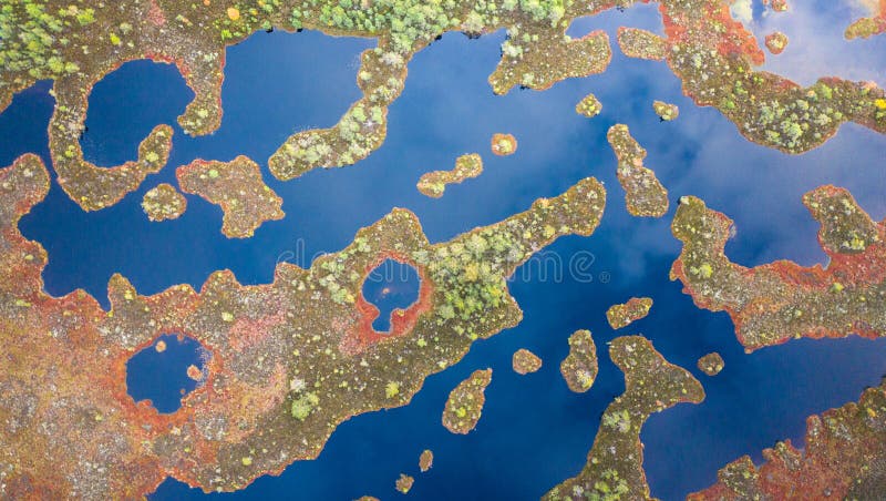 Aerial Top-down View To the Complex Natural Peat Bog Pattern with the ...