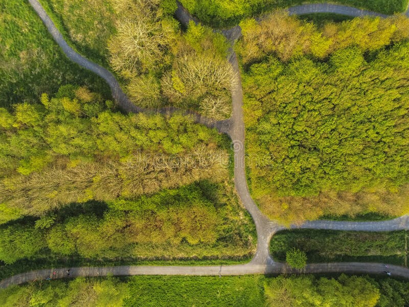 Aerial Top Down View on Walking Path in a Park, Green Trees and Field ...