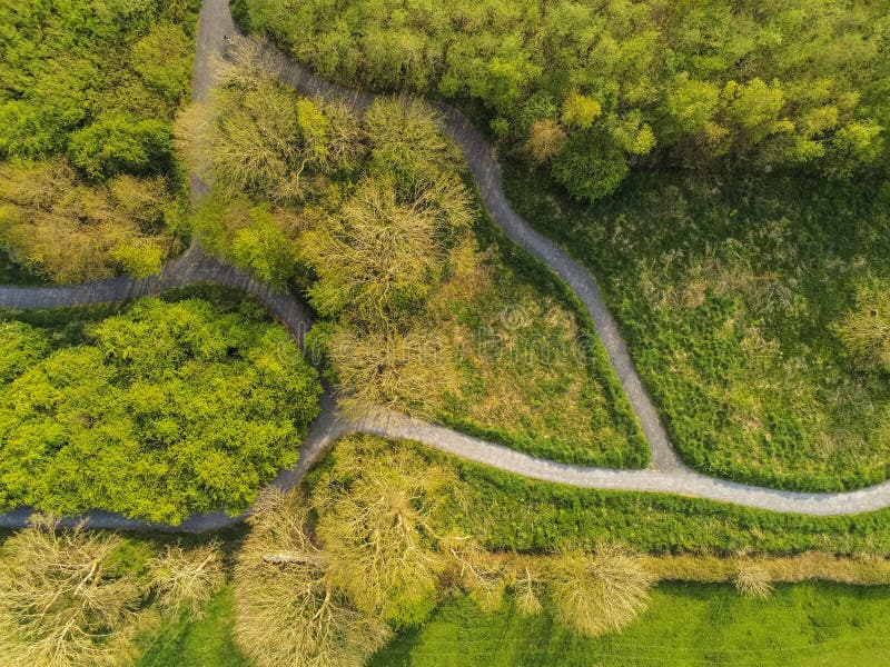 Aerial Top Down View on Walking Path in a Park, Green Trees and Field ...