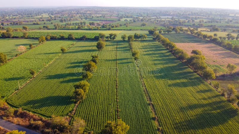 Aerial Top View of Agriculture Field Stock Photo - Image of natural ...