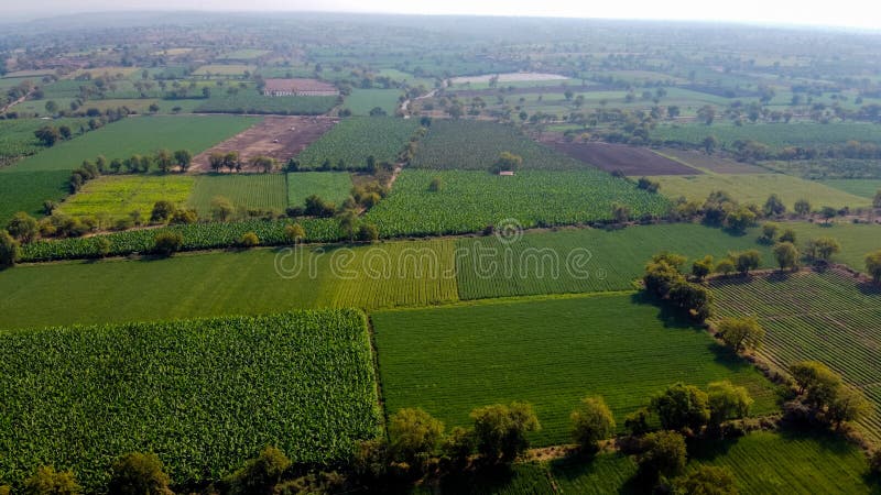 Aerial Top View of Agriculture Field Stock Photo - Image of country ...