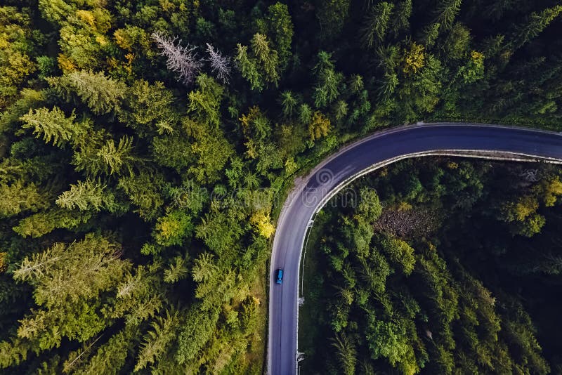 Aerial Top View of Curvy Mountain Road Stock Photo - Image of pine ...