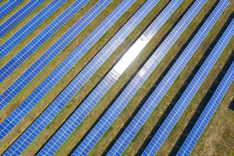 A Field of Solar Panels Gleaming in the Sunlight Surrounded by Green ...