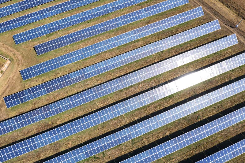 A Field of Solar Panels Gleaming in the Sunlight Surrounded by Green ...