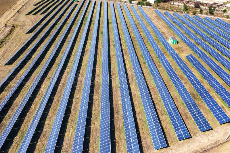 A Field of Solar Panels Gleaming in the Sunlight Surrounded by Green ...