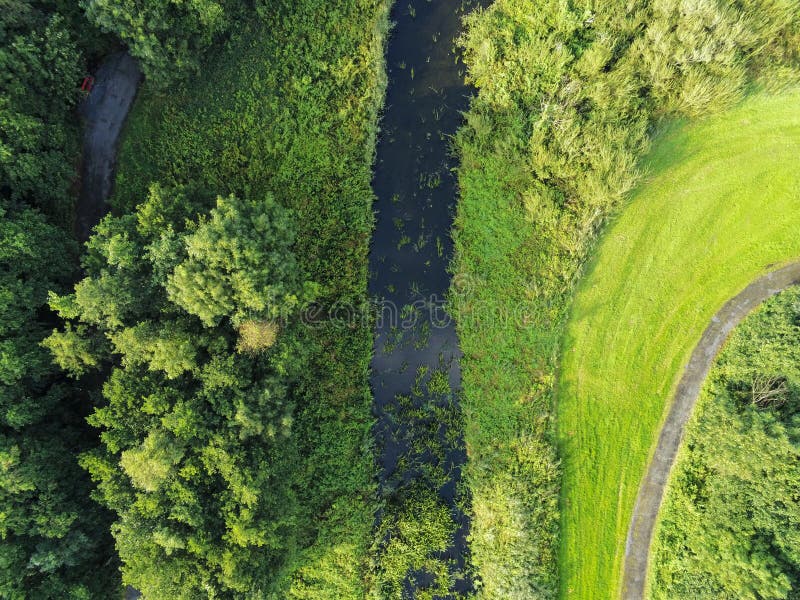 Aerial Top View, Walking Path in a Park by a Small Creek and Trees ...